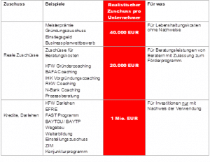 Zuschüsse Definition für Dummies | keyna.de